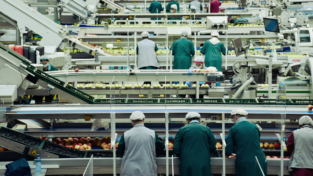 Preparing an inventory optimization pilot program to match a food ...